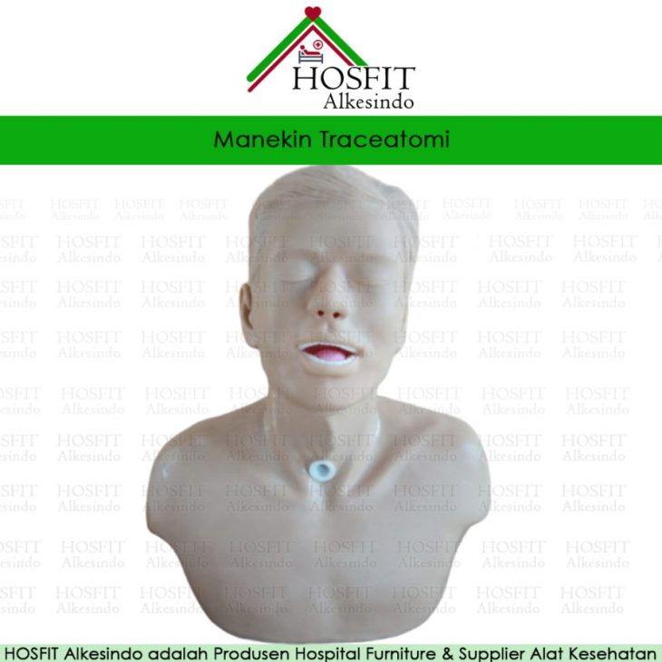 Manekin Full Body Multifungsi - Hosfit Alkesindo